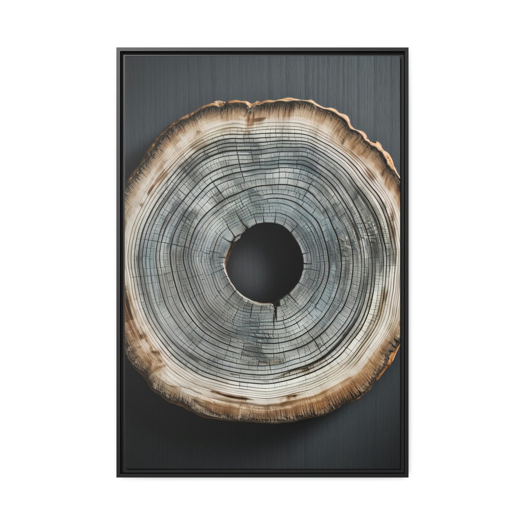 Tree Ring Collection 7- Framed Matte Canvas, Hanging Wall Art, Wood ...