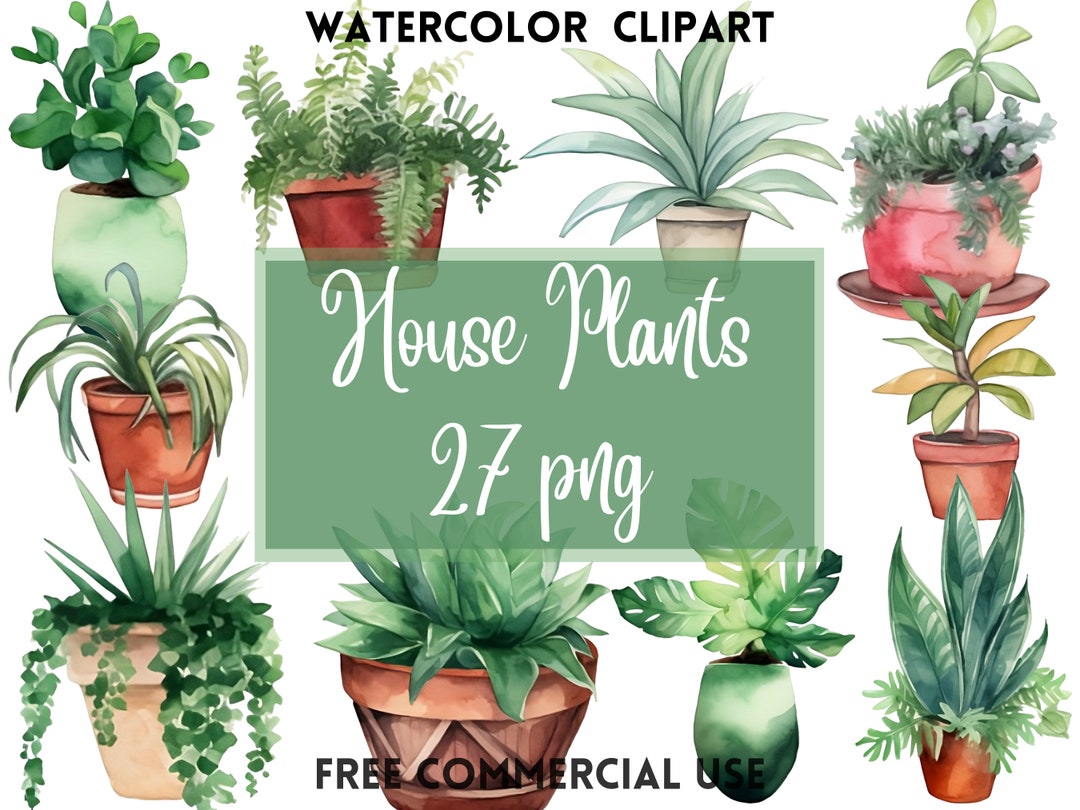 Watercolor House Plants, Clipart, 27 Png, Indoor Plants Clip Art ...