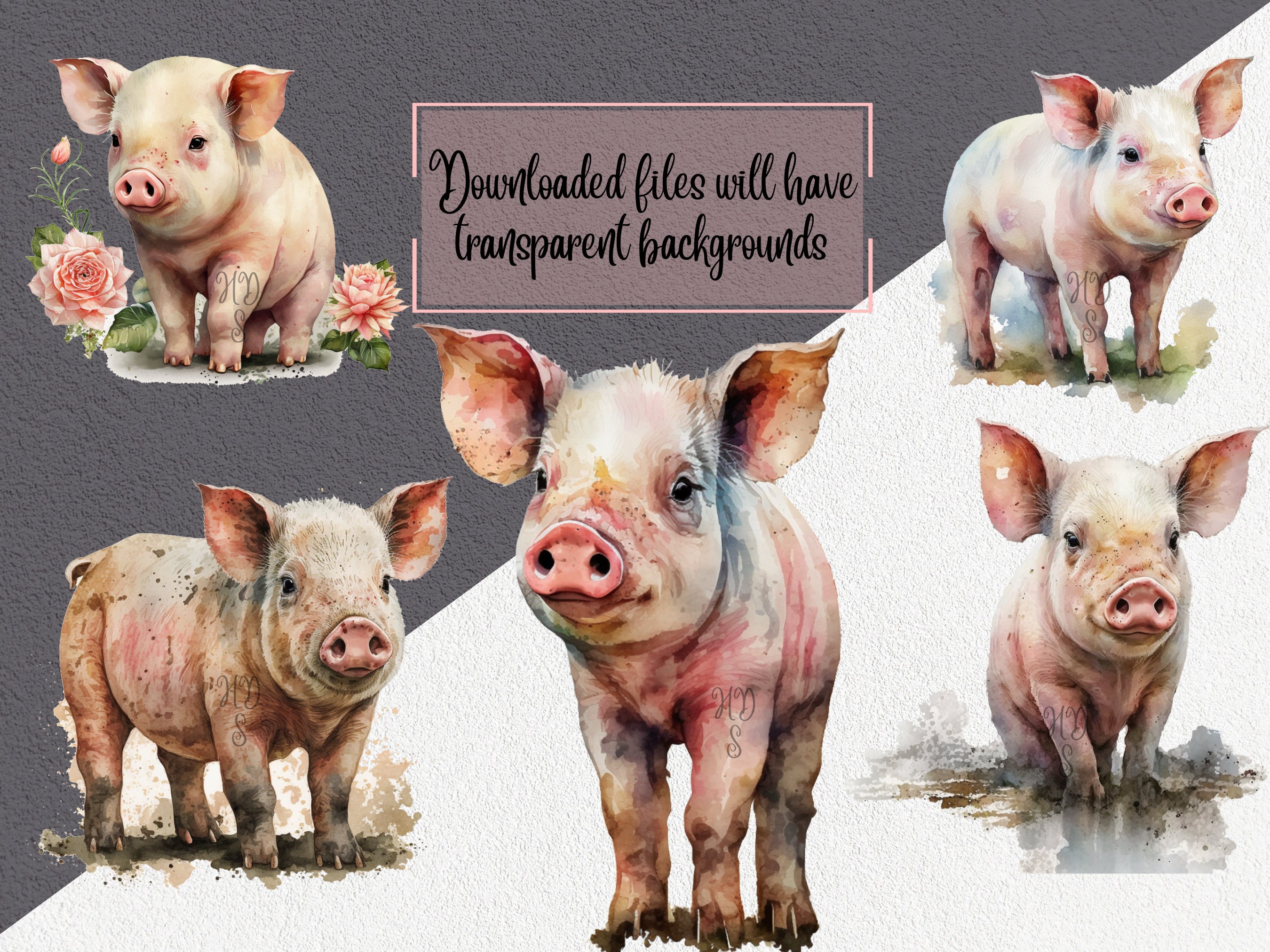 Watercolor Pigs Clipart Pack - 11 PNG - Pigs Clipart, Watercolor Pigs ...