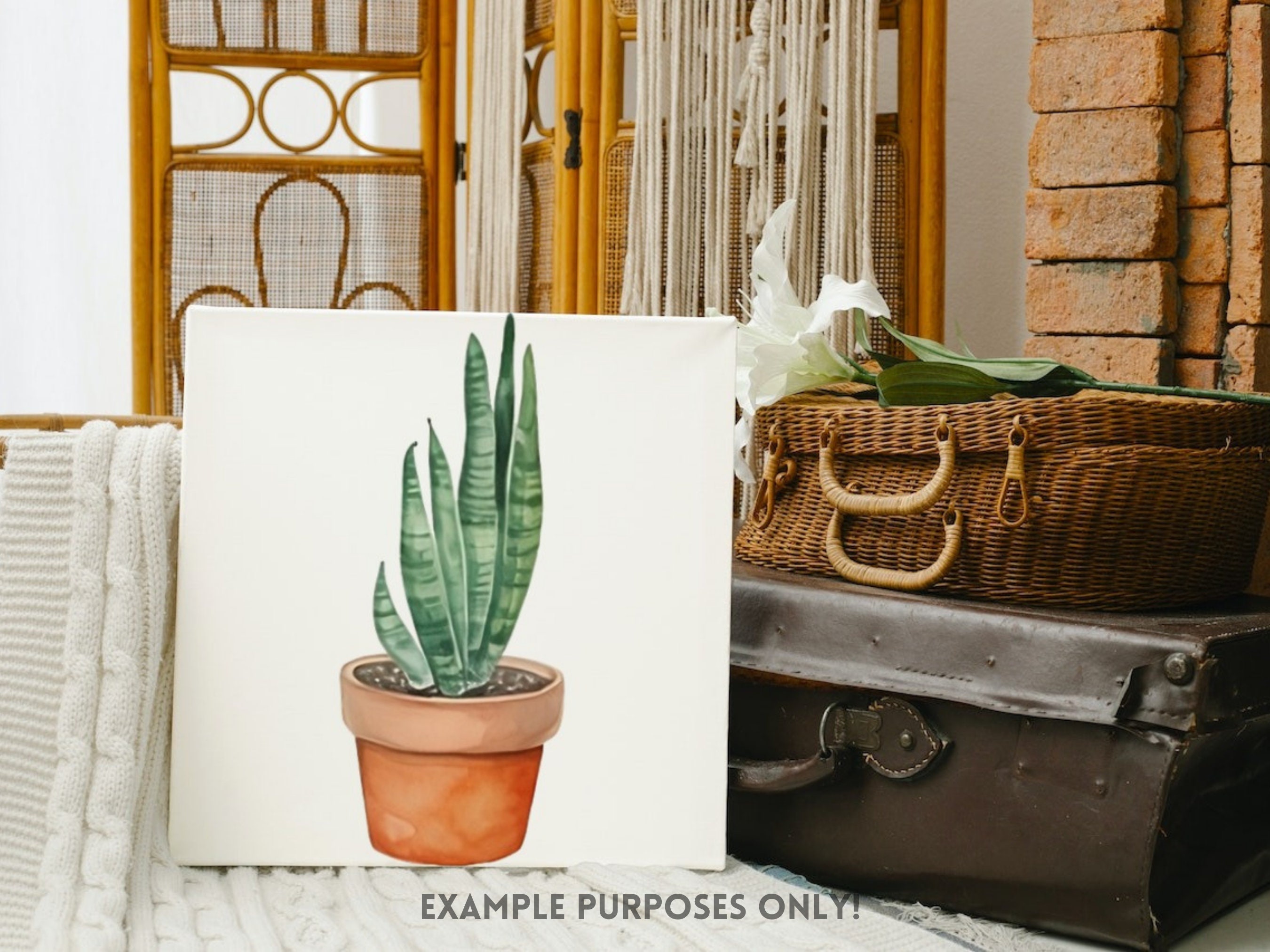 Watercolor House Plants, Clipart, 27 Png, Indoor Plants Clip Art ...