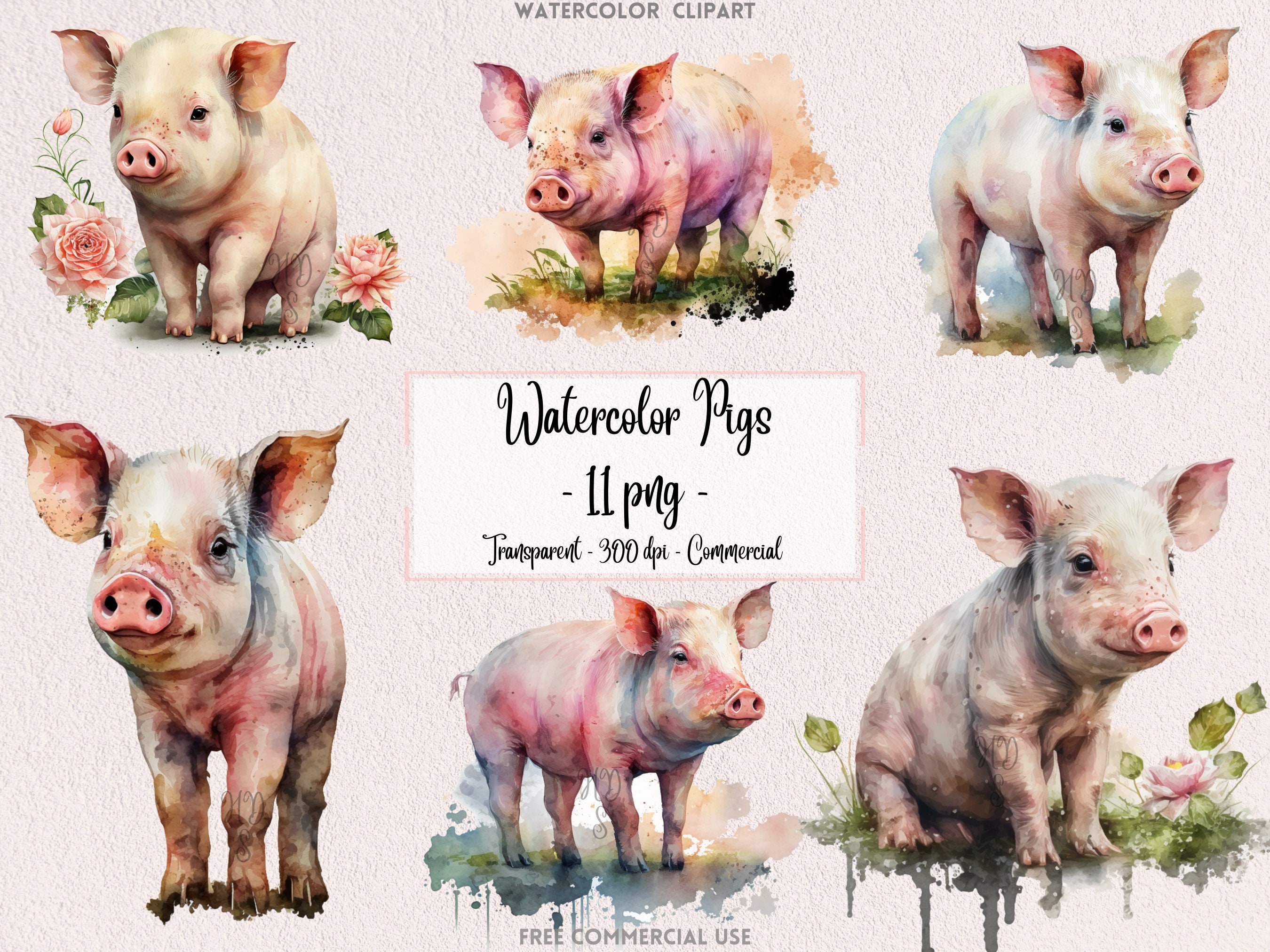 Watercolor Pigs Clipart Pack - 11 PNG - Pigs Clipart, Watercolor Pigs ...