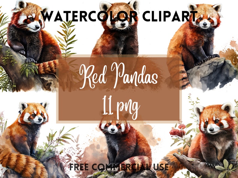 Watercolor Red Pandas, Clipart, 11 Png, Animal Clip Art, Digital ...
