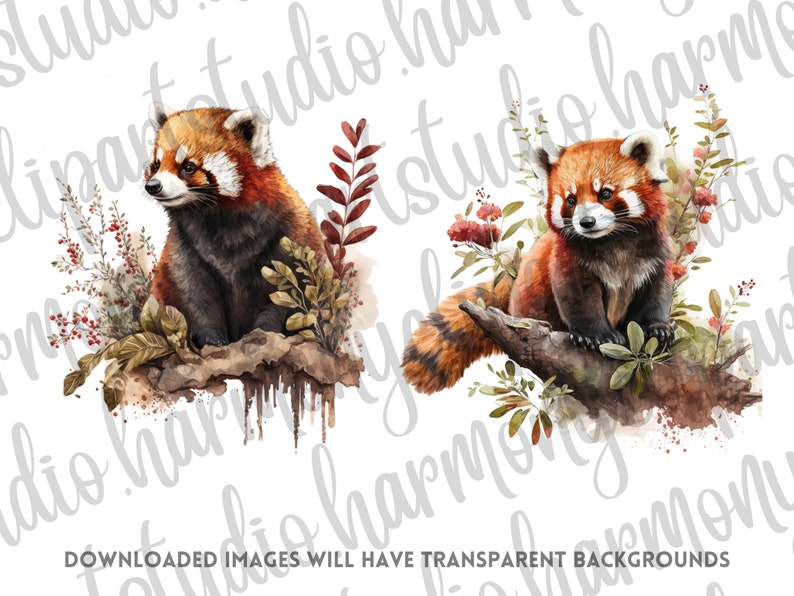 Watercolor Red Pandas, Clipart, 11 Png, Animal Clip Art, Digital ...