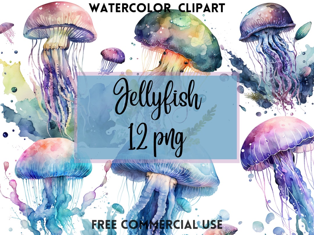 Watercolor Jellyfish, Clipart, 12 Png, Jelly Fish Clip Art, Digital ...