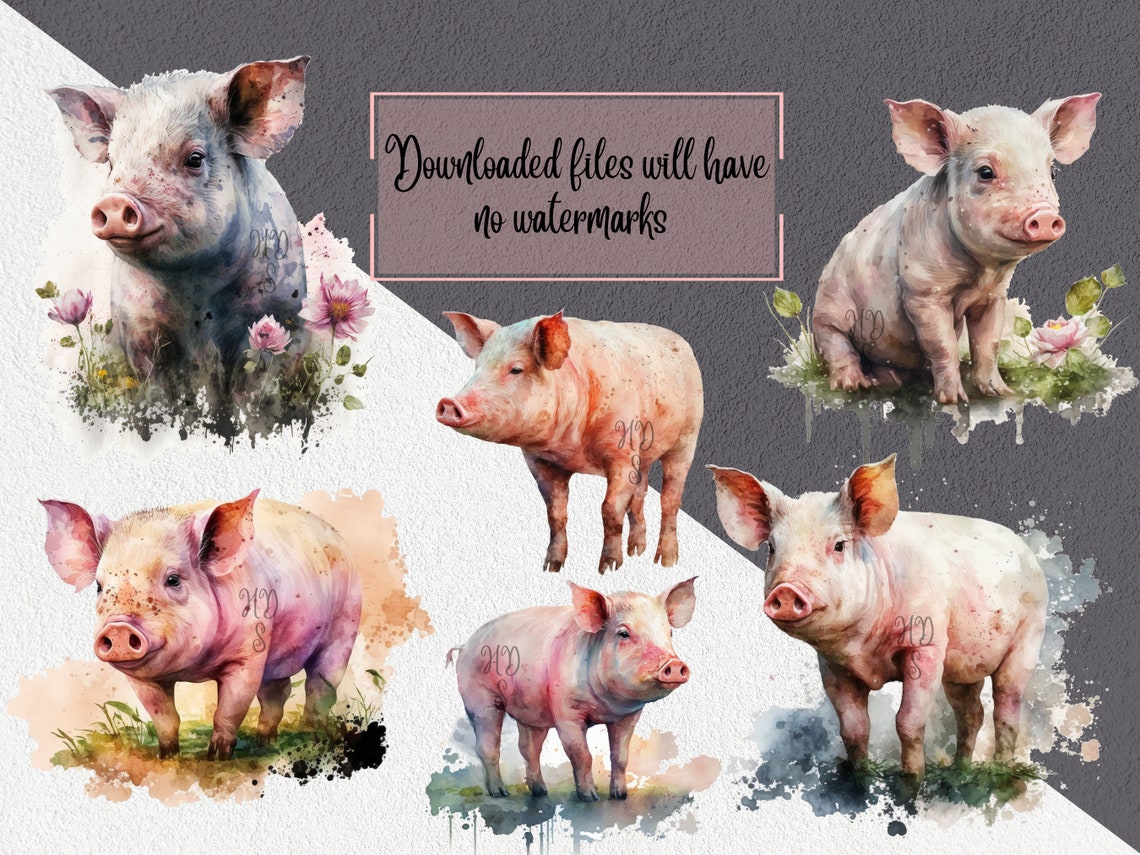 Watercolor Pigs Clipart Pack 11 PNG Pigs Clipart, Watercolor Pigs ...