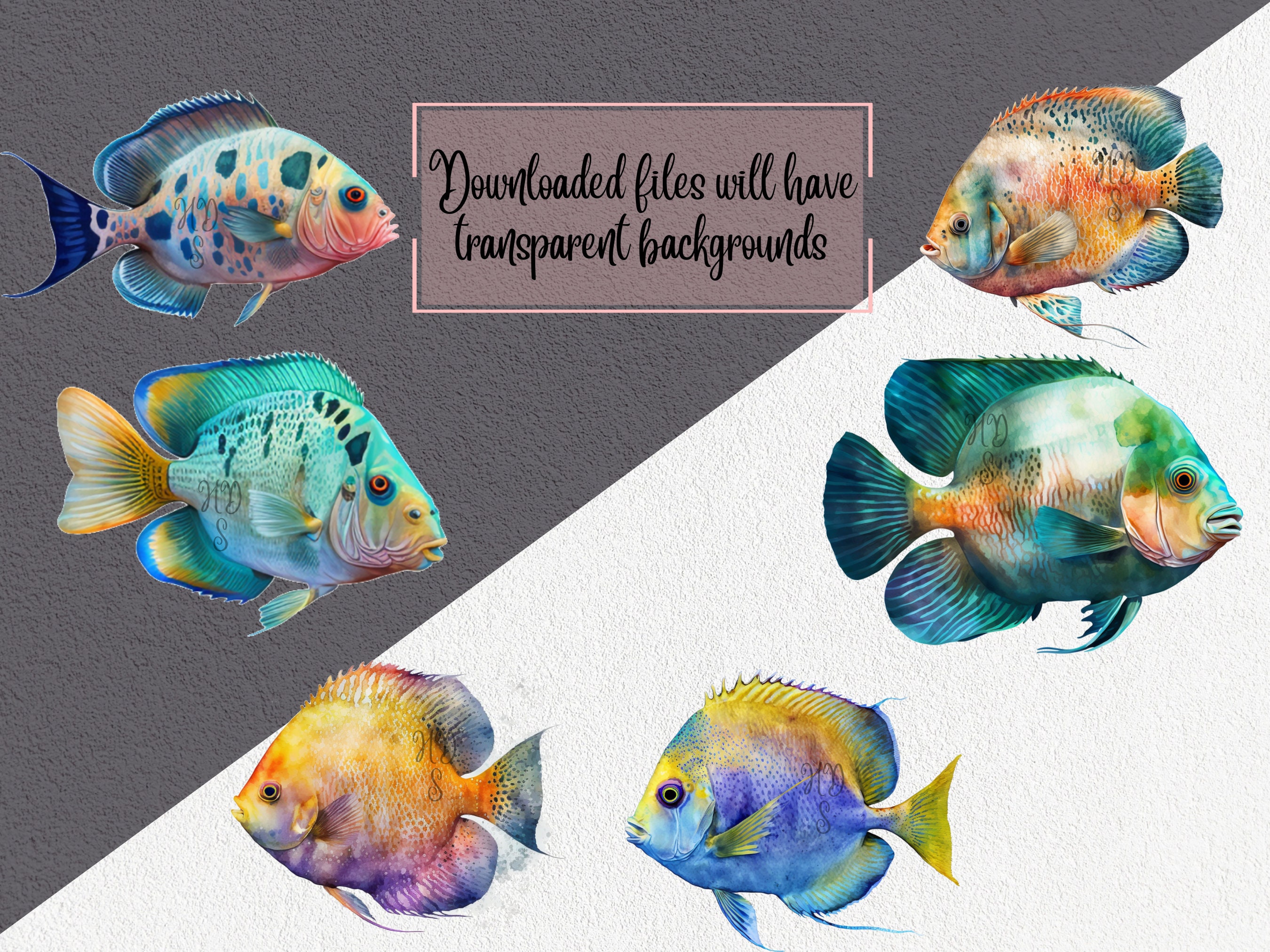 Watercolor Tropical Fish Clipart Pack - 12 PNG - Tropical Fish Clipart ...