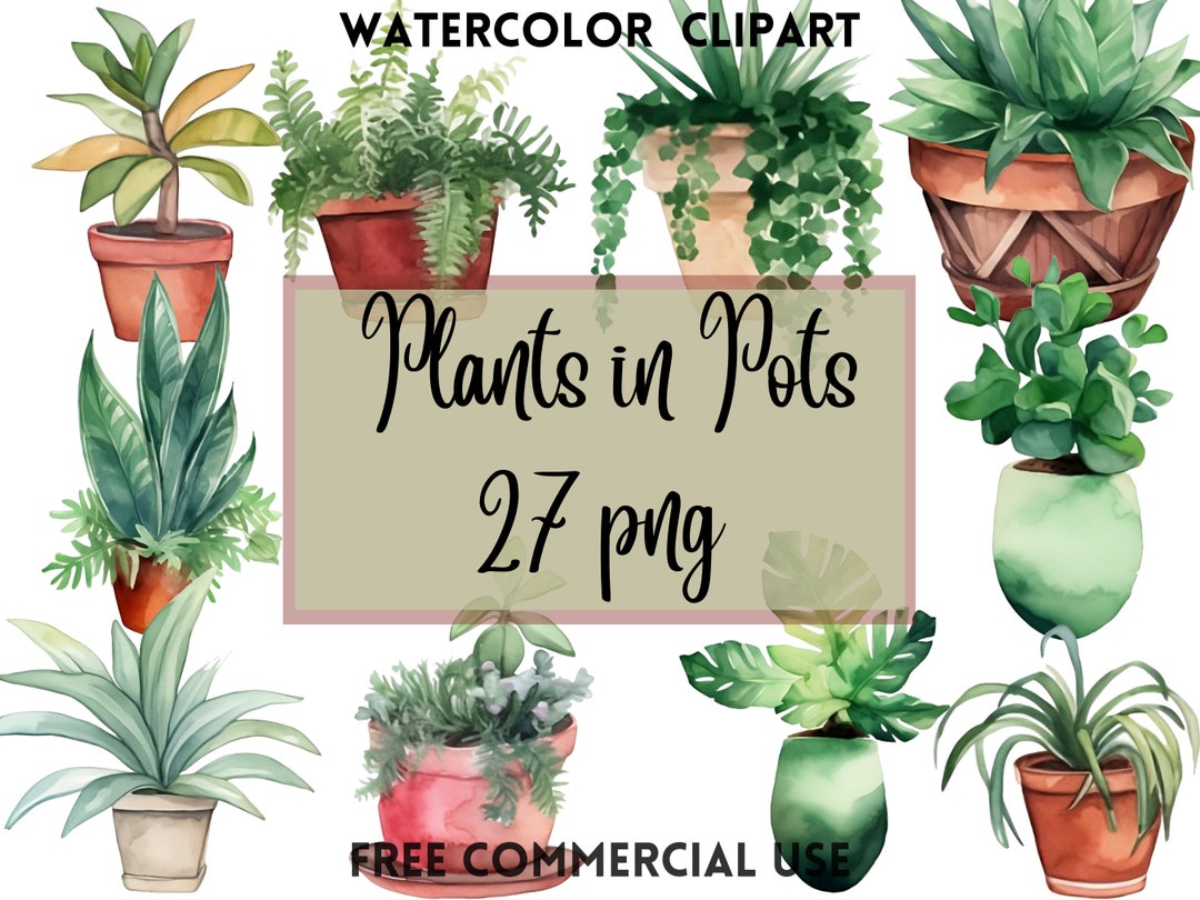 Watercolor Plants in Pots Clipart, 27 Png, Indoor Plants Clip Art ...