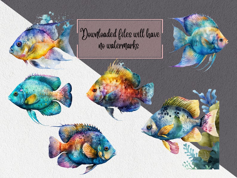 Watercolor Tropical Fish Clipart Pack 12 PNG Tropical Fish Clipart ...