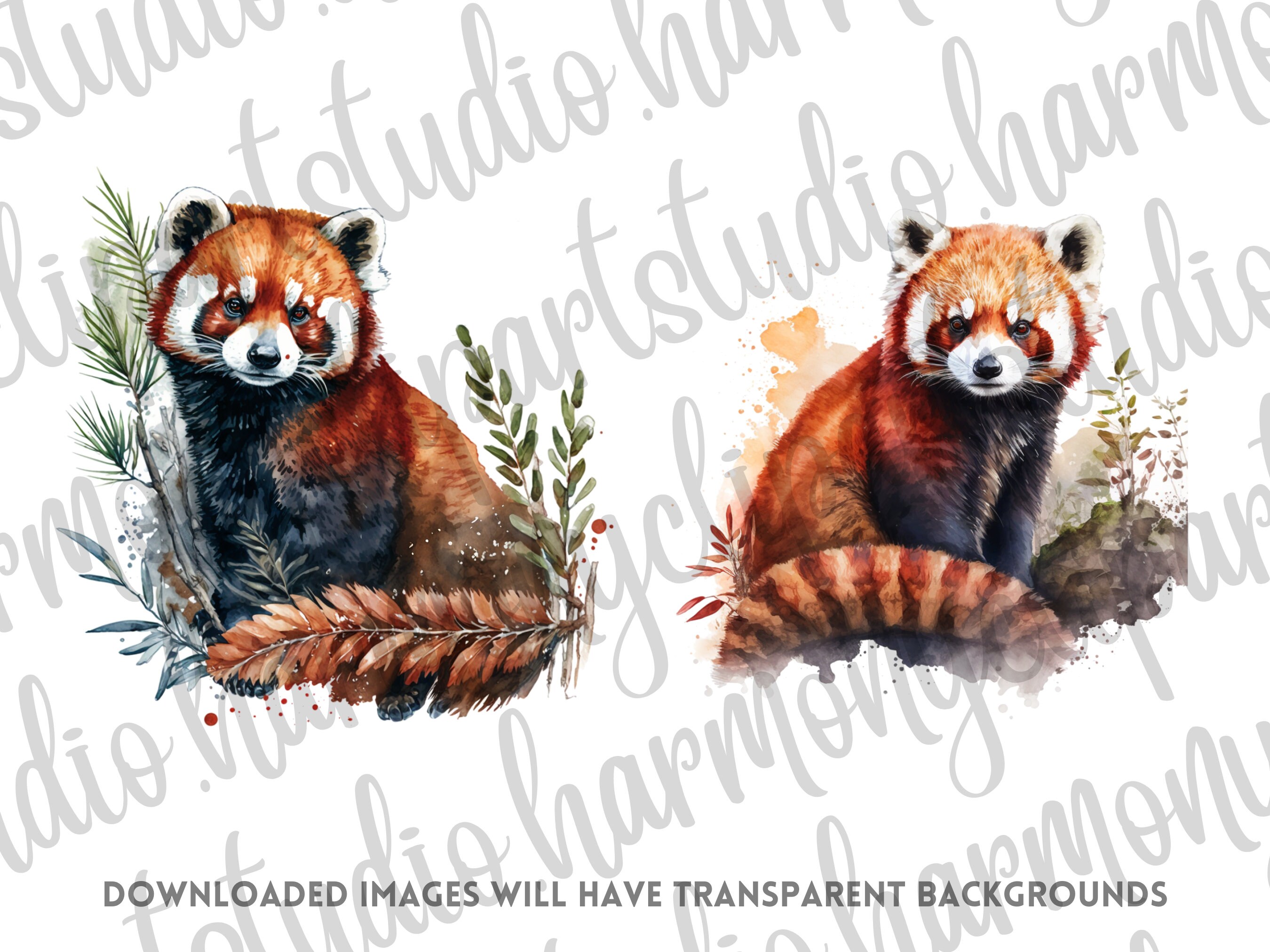 Watercolor Red Pandas, Clipart, 11 Png, Animal Clip Art, Digital ...