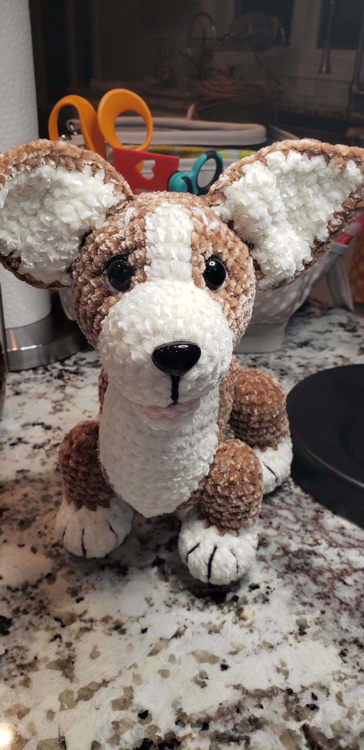 Dog Corgi With Collar - Etsy