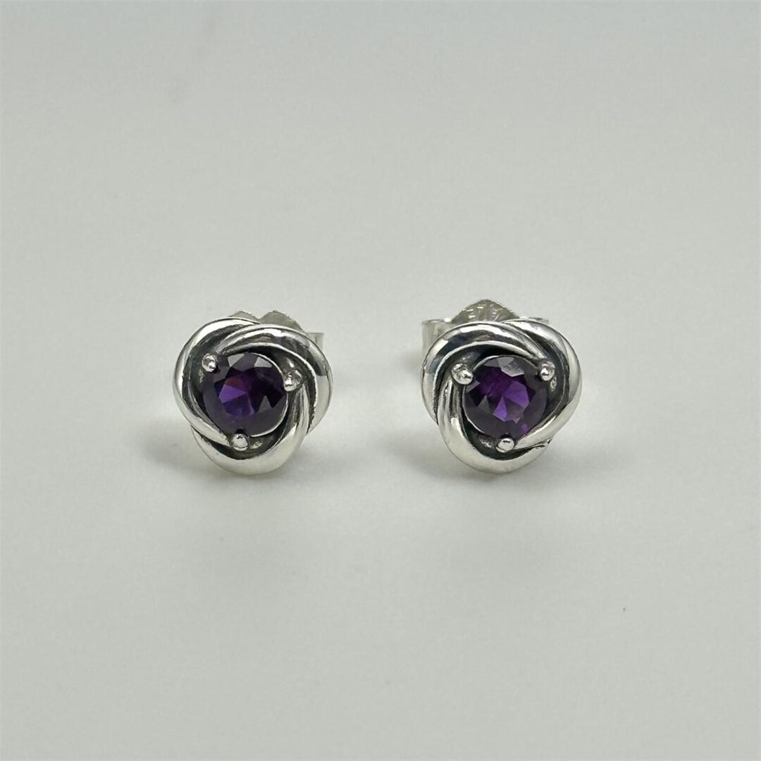 Pandora February Birthstone Eternity Circle Stud Earrings - Etsy