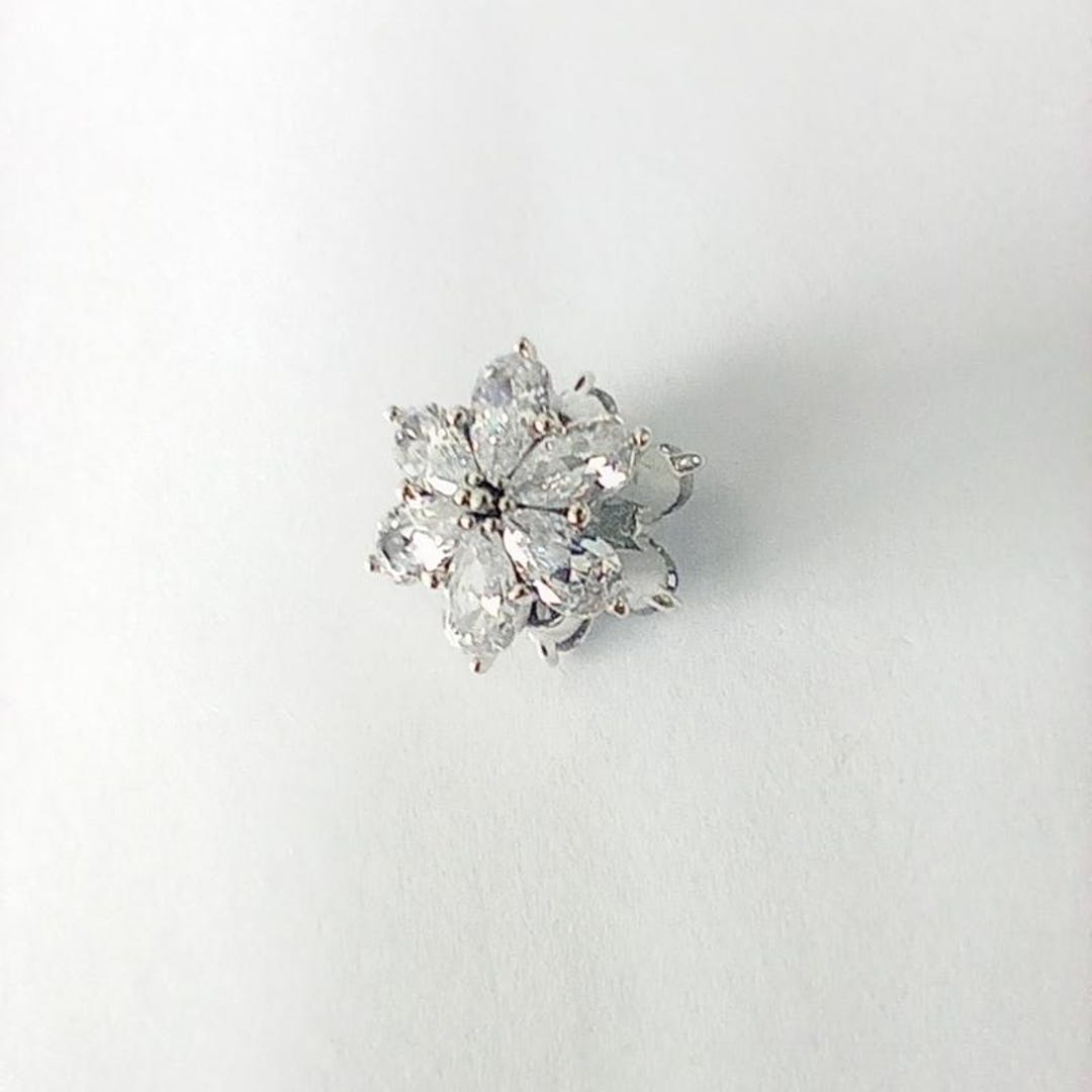 Pandora Sparkling Herbarium Cluster Ale S925 Charm - Etsy