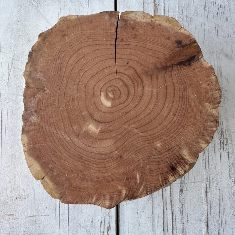 Red Cedar Slab - Etsy