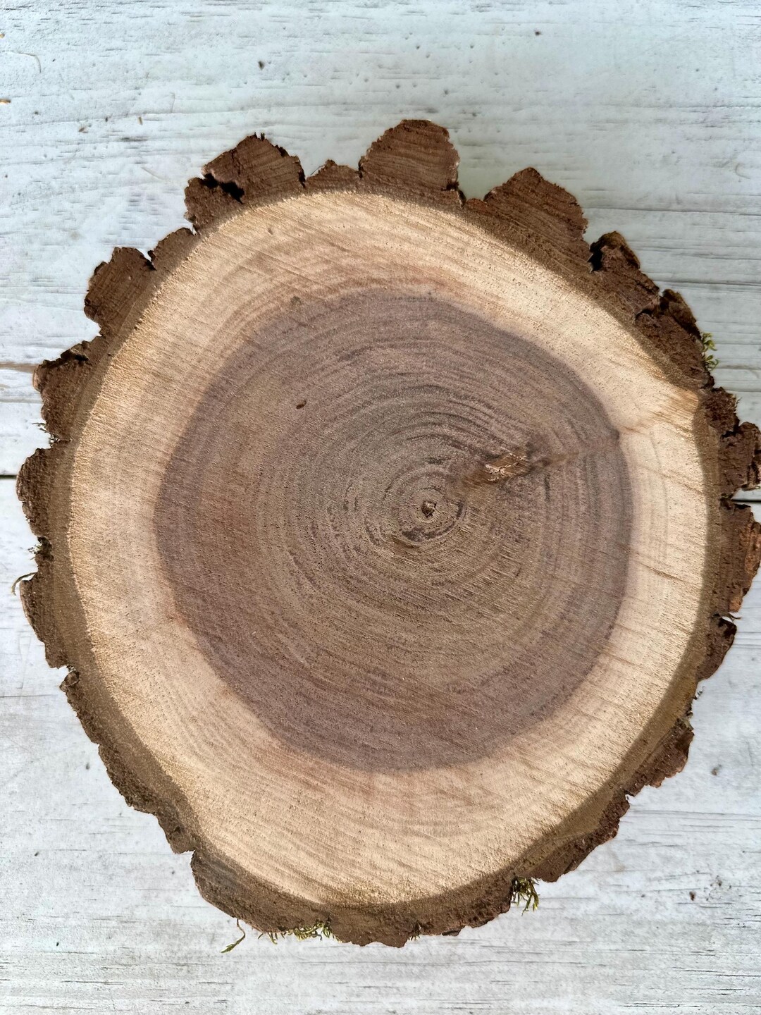 Black Walnut Round - Live Edge Black Walnut - Black Walnut - Thick Wood ...