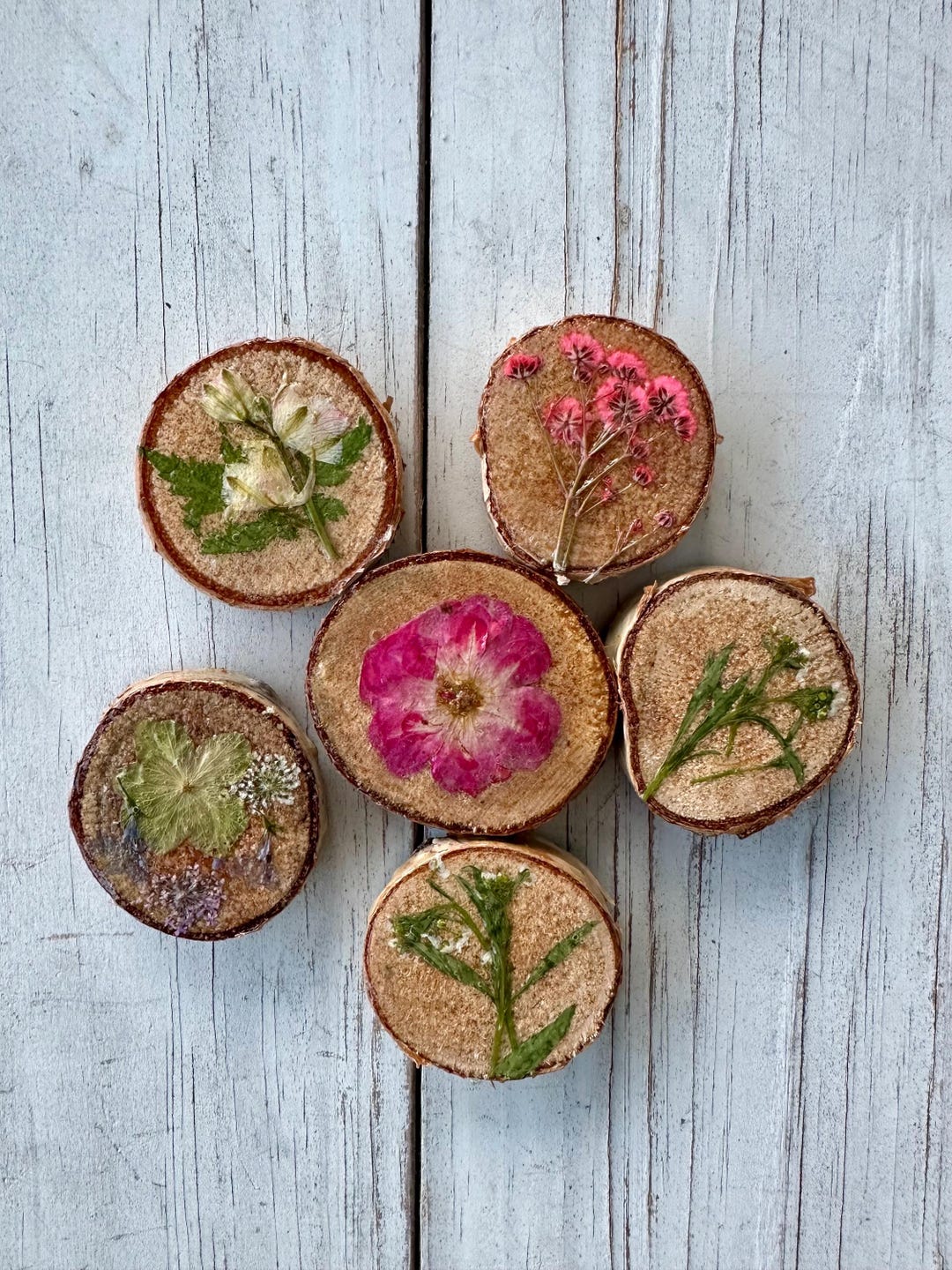 Pressed Flower Magnet - Wood Slice Magnet - Wood Slice Magnets - Flower ...