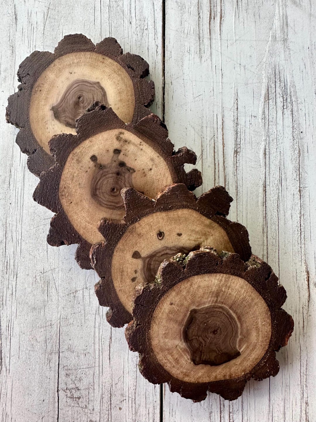 Walnut Slice Coasters - Set of Four Coasters - Walnut Coaster Set ...