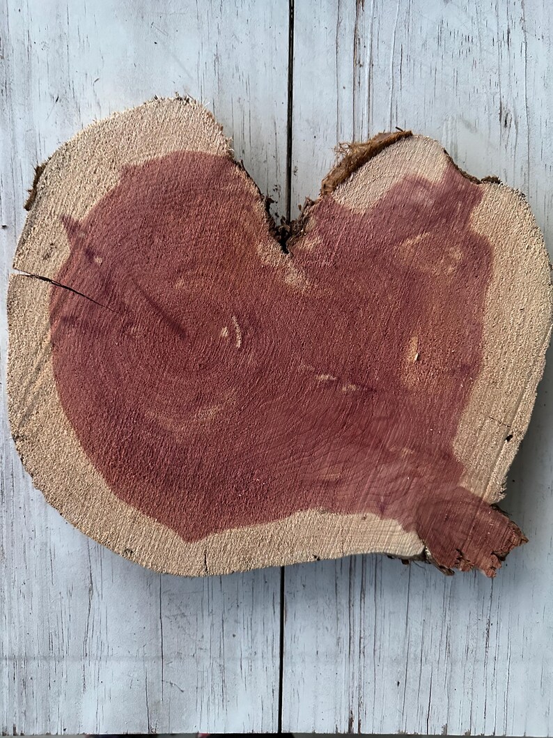 Red Cedar Slabs Live Edge Red Cedar Wood Red Cedar Slices Tree Slices ...
