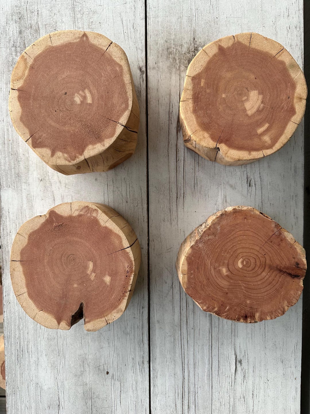 Four Cedar Rounds Live Edge Red Cedar Slices Red Cedar Cookies Tree ...