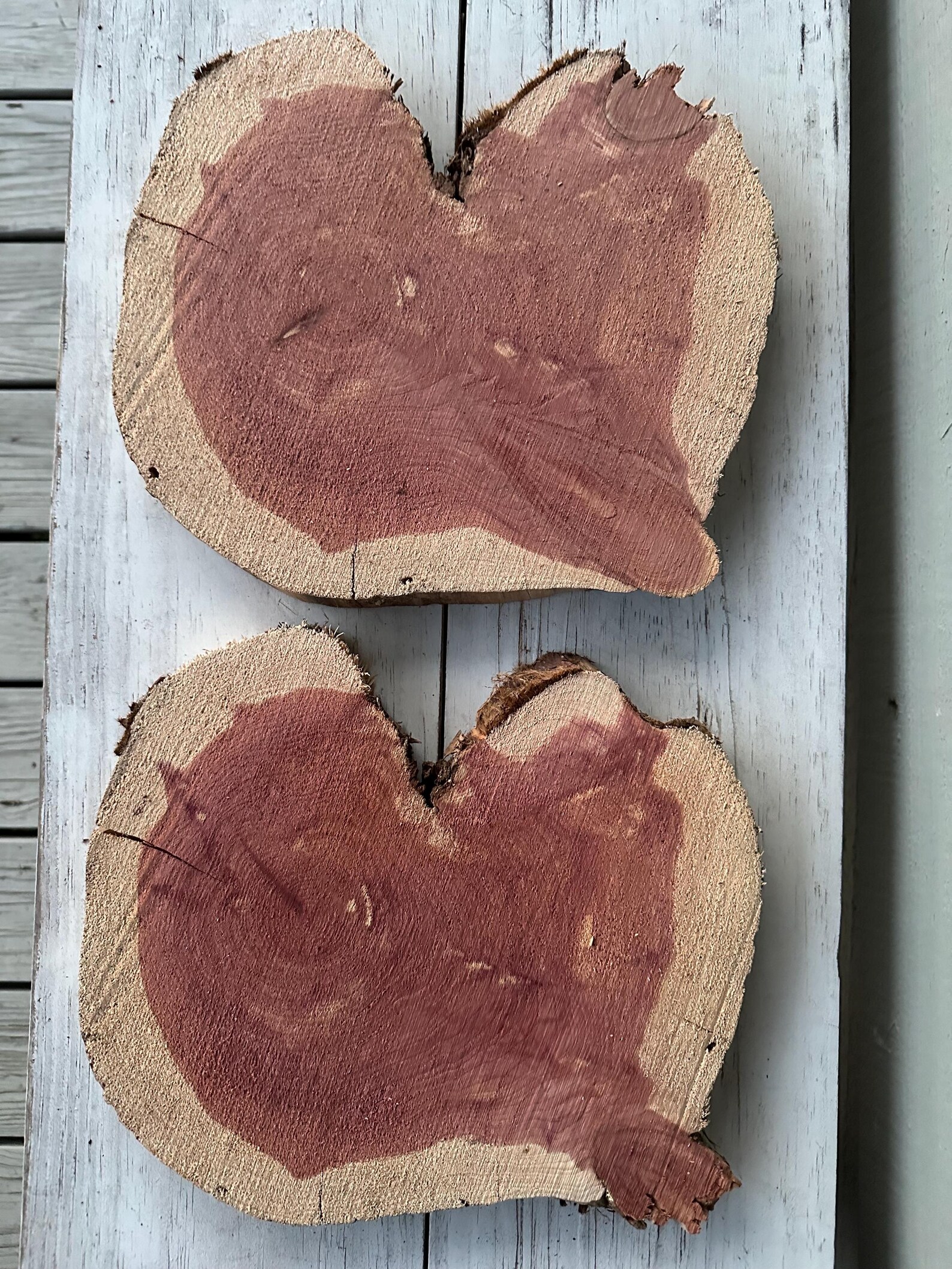 Red Cedar Slabs Live Edge Red Cedar Wood Red Cedar Slices Tree Slices ...