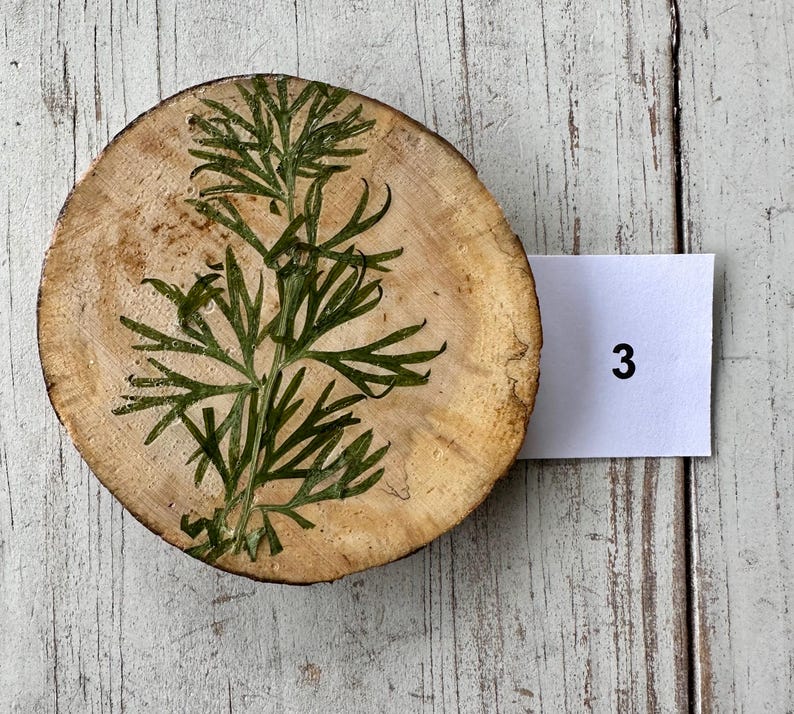 Pressed Flower Magnets - Boho Flower Kitchen Decor - Etsy