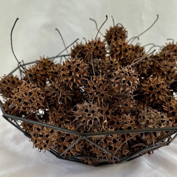 Sweet Gum Ball Crafts - Etsy
