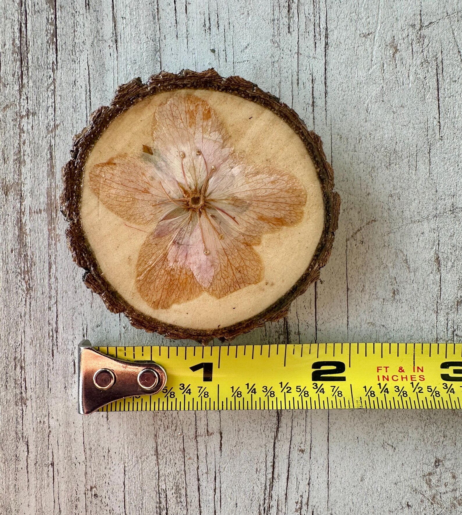 Pressed Flower Magnet: Cottagecore Kitchen Magnets - Etsy