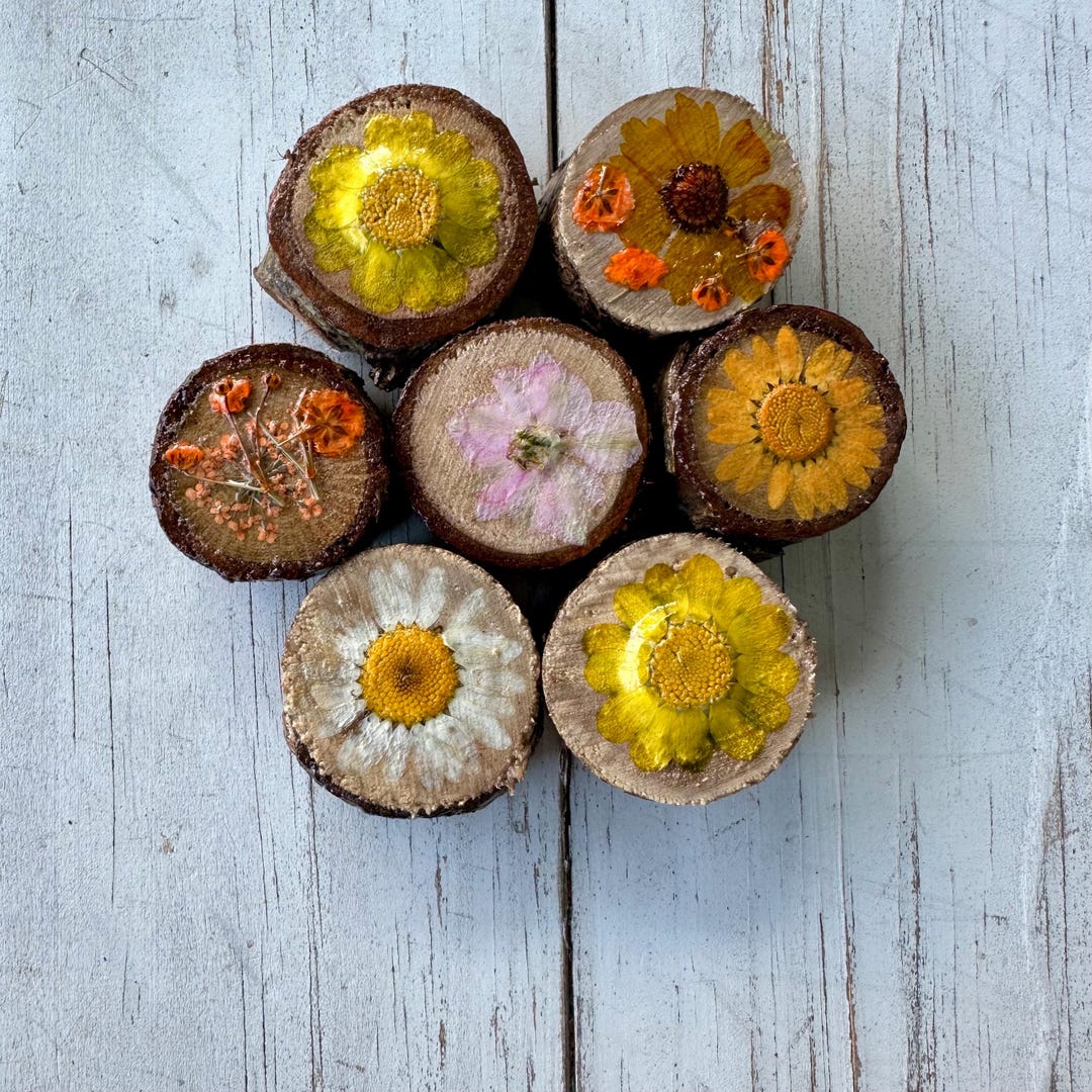 Pressed Flower Magnet - Wood Slice Magnets - Kitchen Magnets - Mini ...