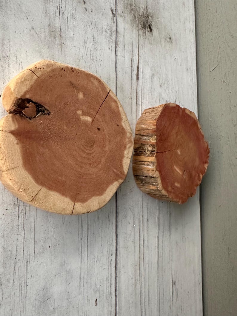 Two Cedar Rounds Live Edge Red Cedar Slices Red Cedar Cookies Tree ...