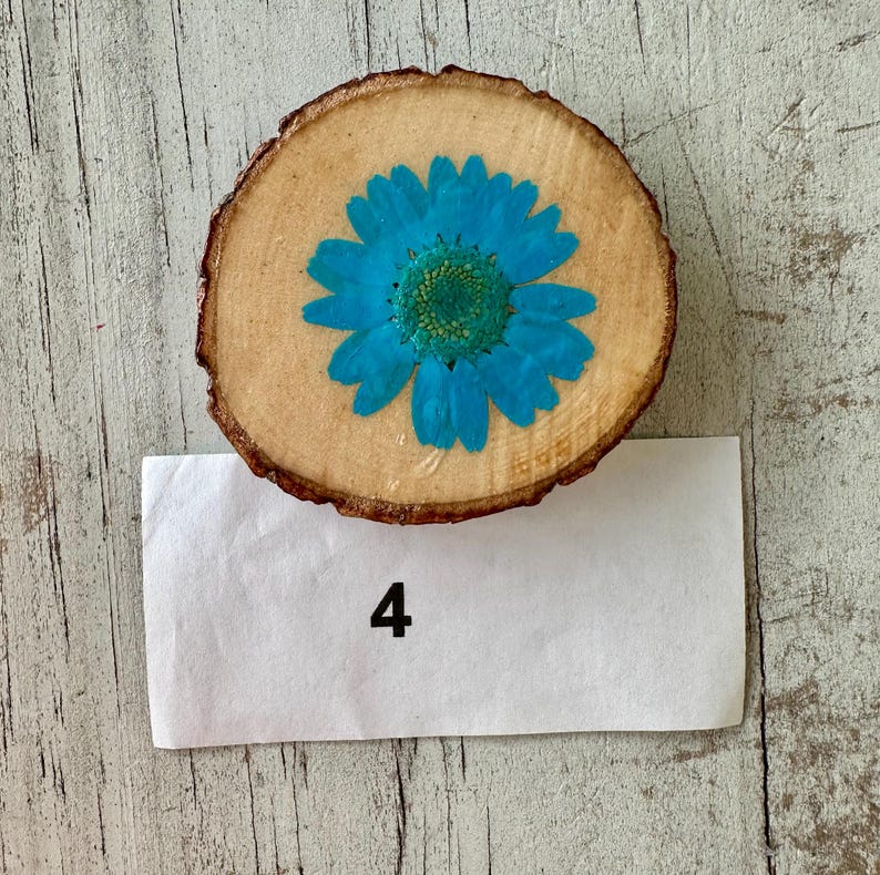 Pressed Flower Magnet: Cottagecore Kitchen Magnets - Etsy