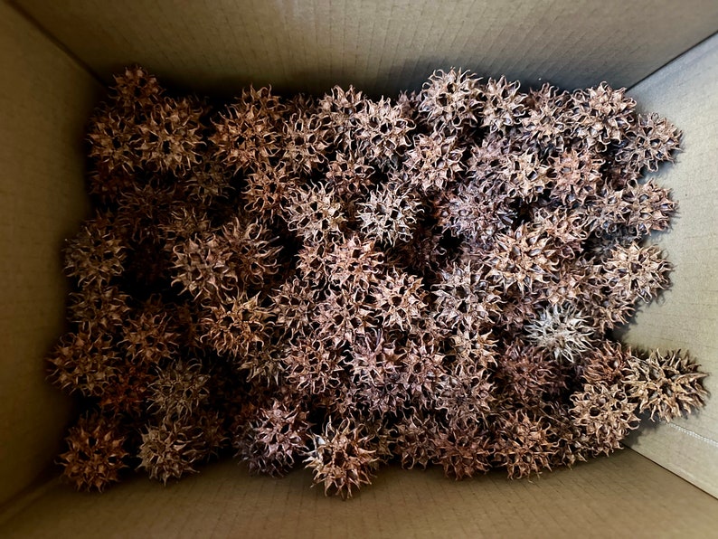 Sweet Gum Ball Wreath Spring Wreath Front Door Wreath Polka Dot Wreath ...