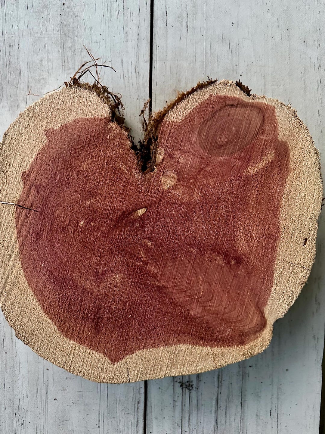 Cedar Slab - Live Edge Red Cedar Slice - Red Cedar Cookie - Tree Slice ...