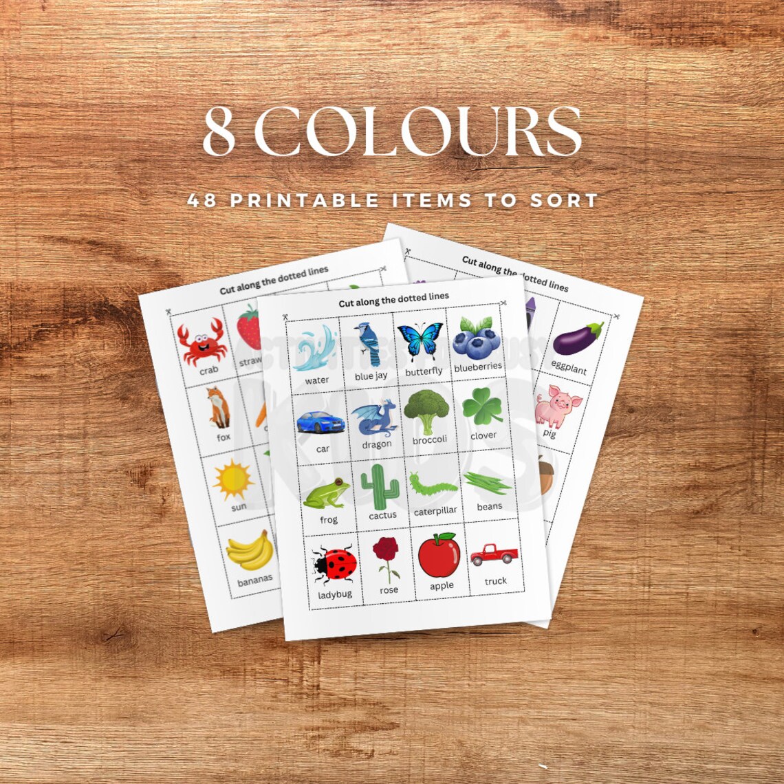 Sorting Game for Kids, Colour Matching Game, Color Jars for Kids ...