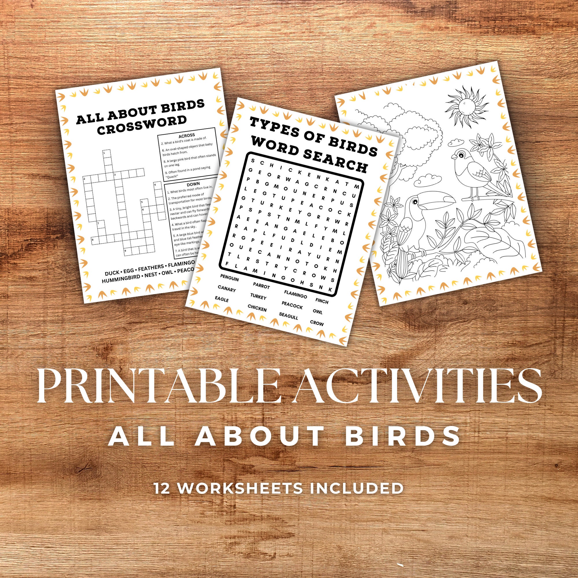 Kids Bird Games, Printable Bird Activities, Bird Learning, Bird ...