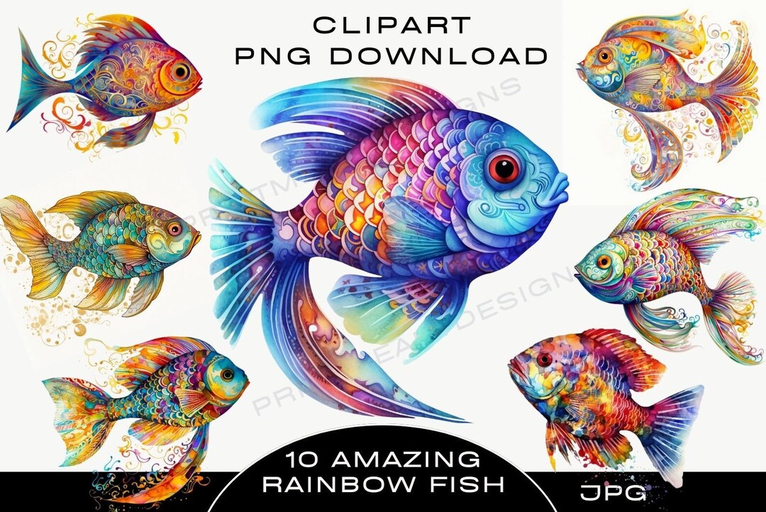 Amazing Rainbow Fish Clipart Perfect for Creating Cards - Etsy Australia