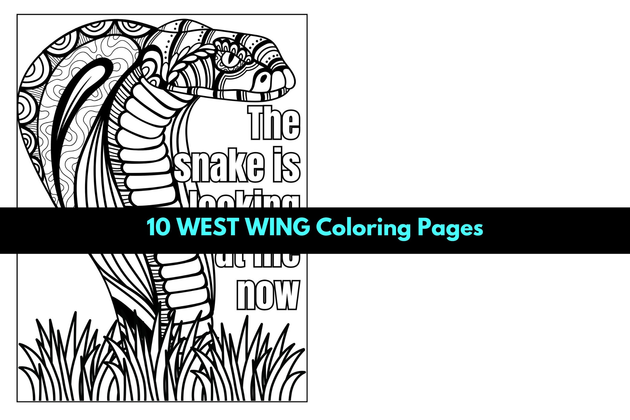 West Wing Printable Coloring Book, Political, Democratic, Election ...