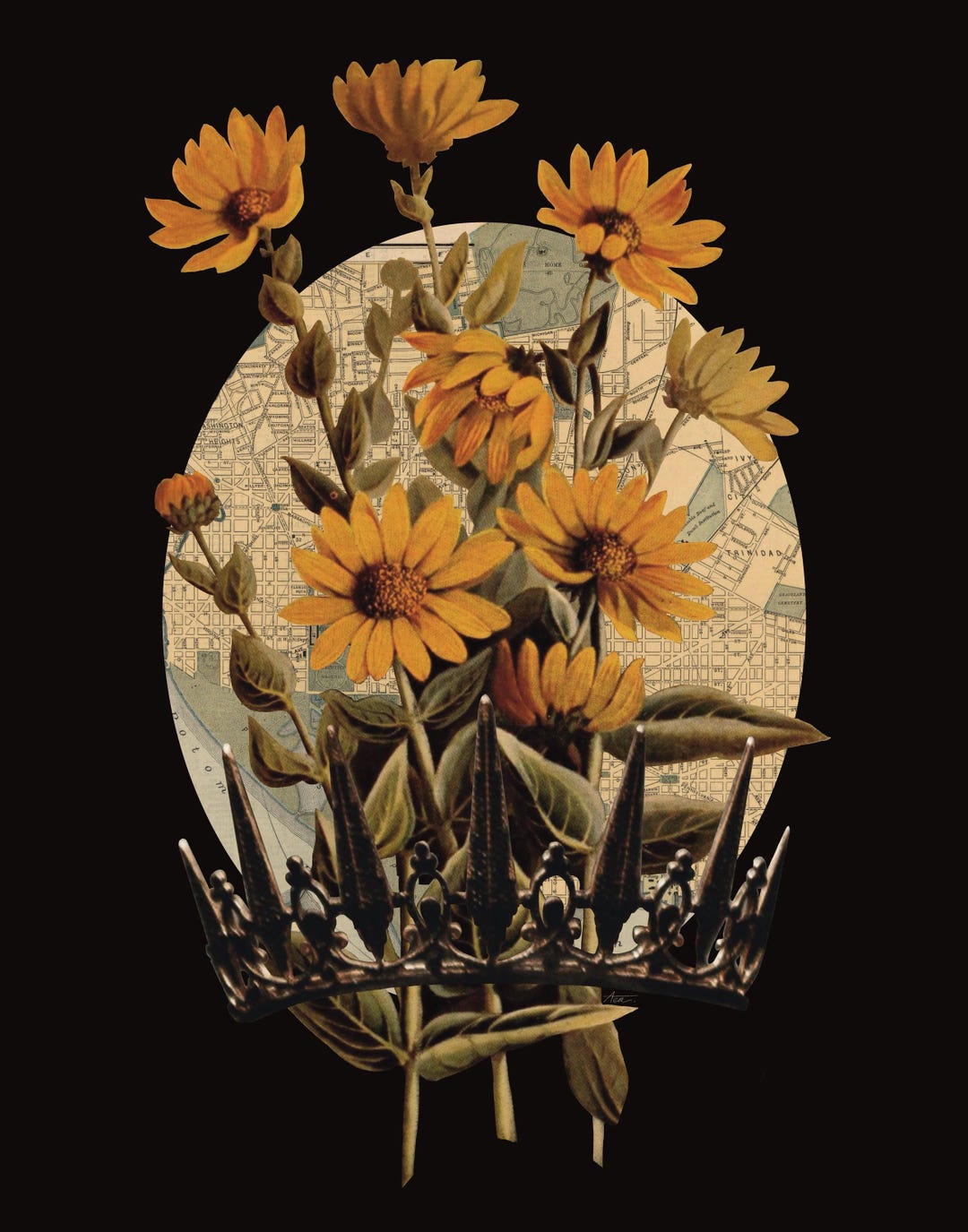 No Reign, Only Flowers Fine Art Print | Collage Art, Moody Nature, No ...