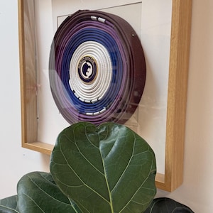 Martial Arts Belt Display Case: Custom Dojo Logo, Free US Shipping - Etsy