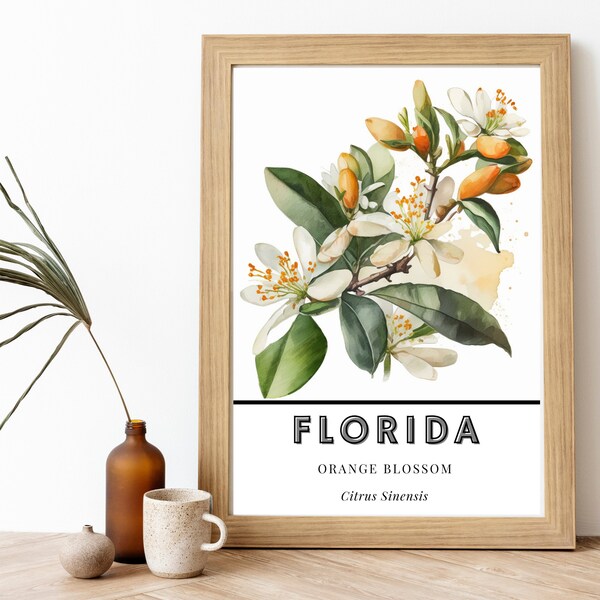 Florida State Flower - Etsy