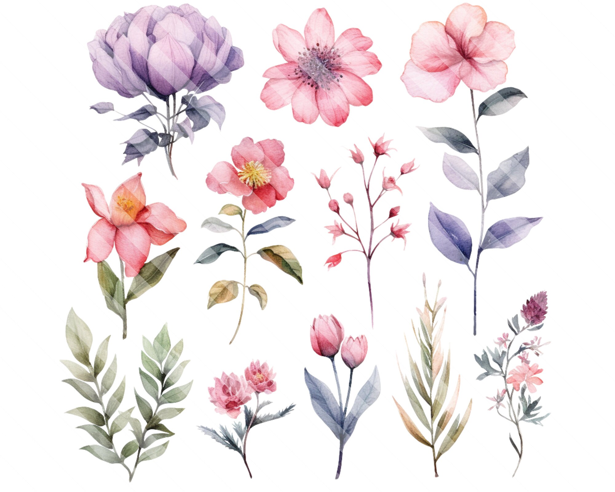 Watercolor Flowers, Floral Clipart for Commercial Use, Digital PNG ...
