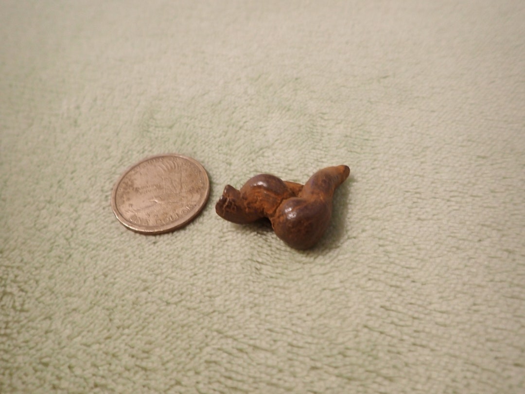 Dino Poop Fossil Washington State Coprolite Rare Lovely Funny Gift for ...