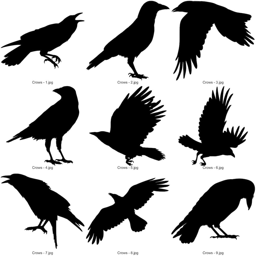 Crows Cut Out Animal Shapes Rooster / Crow Custom Size Wood - Etsy