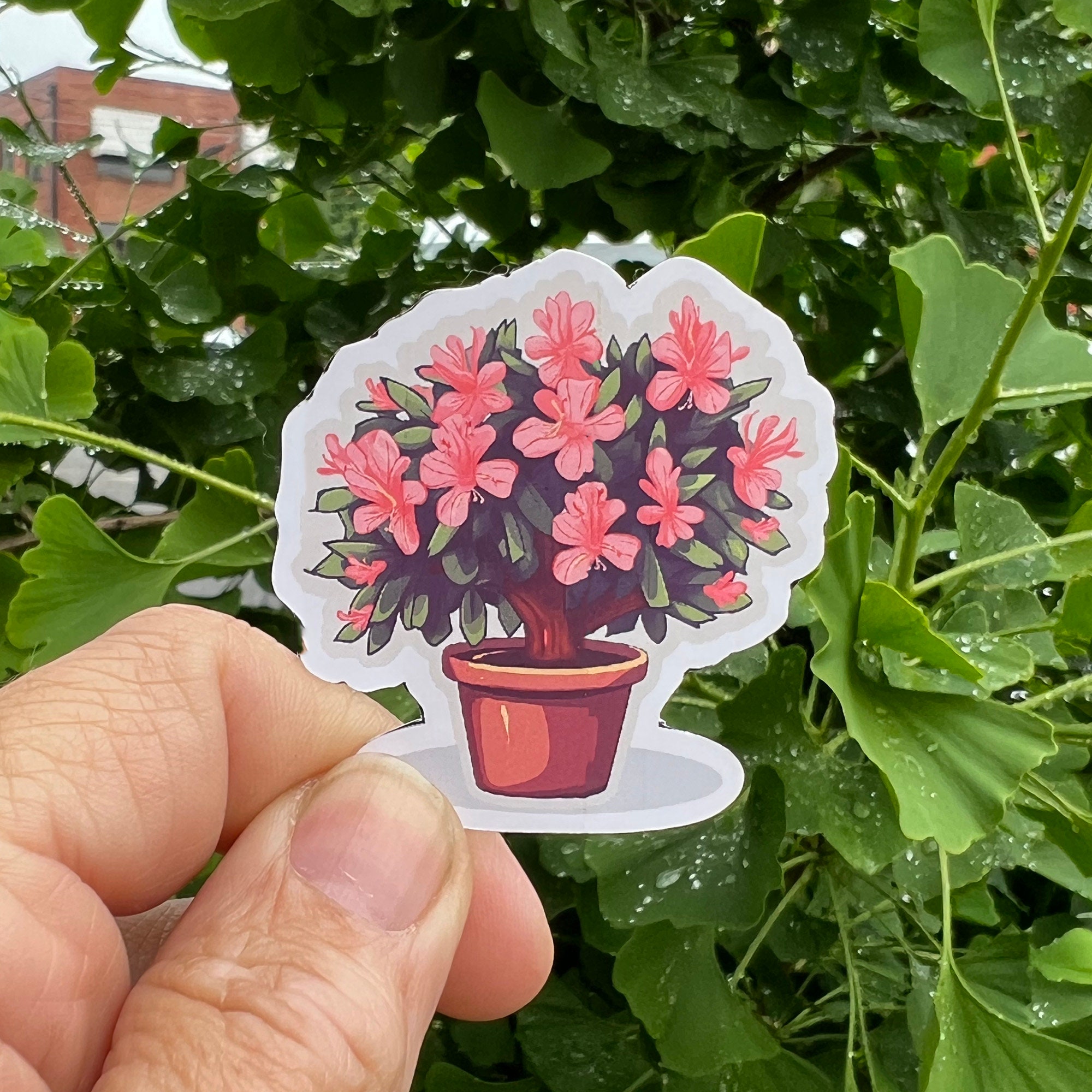 Azalea Potted Plant Sticker for Water Bottles, Laptops & More ...