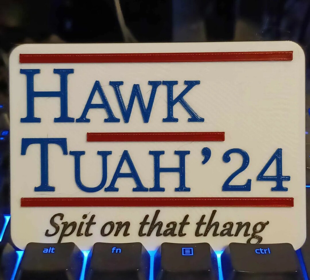 Hawk Tuah '24 Spit on That Thang Sign Funny Tiktok Meme - Etsy
