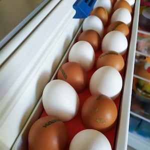 Refrigerator Door Egg Holder - Space-saving Egg Storage Tray - Fits 8 ...