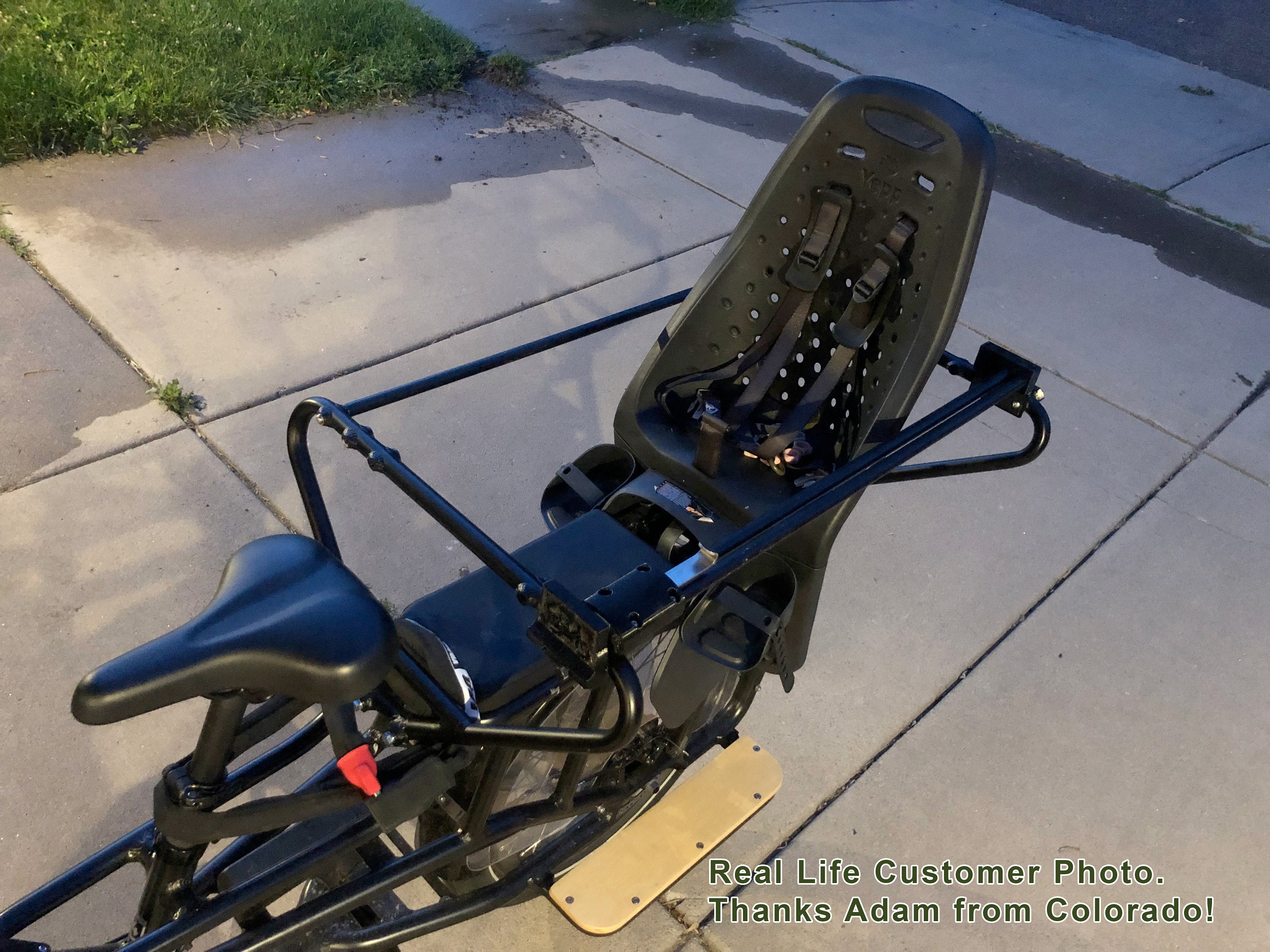 Radwagon 4 or 5 Caboose Gate and Raincover Quickrelease Kit (caboose ...