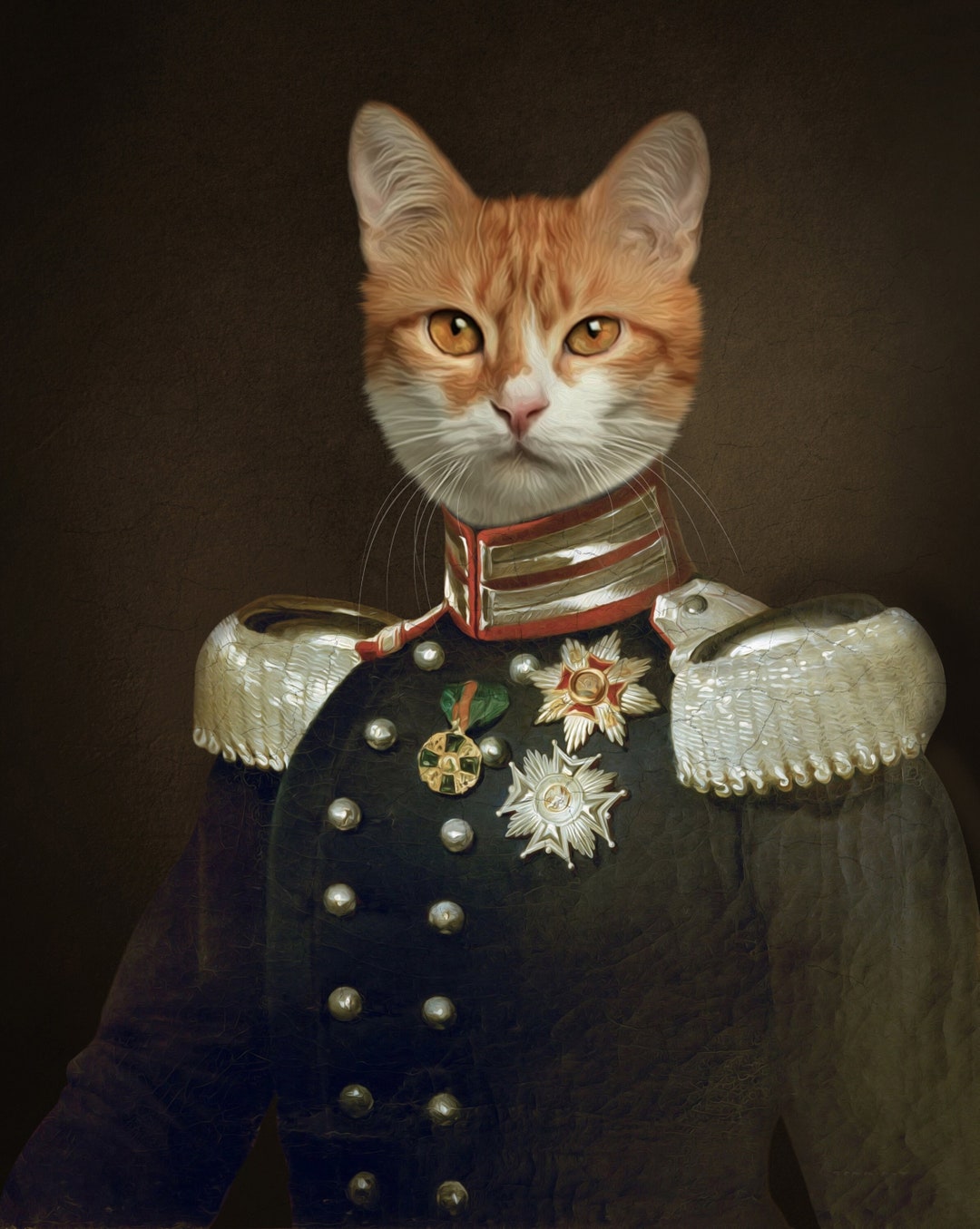 Renaissance Cat Portrait From Photo Custom Royal Pet - Etsy