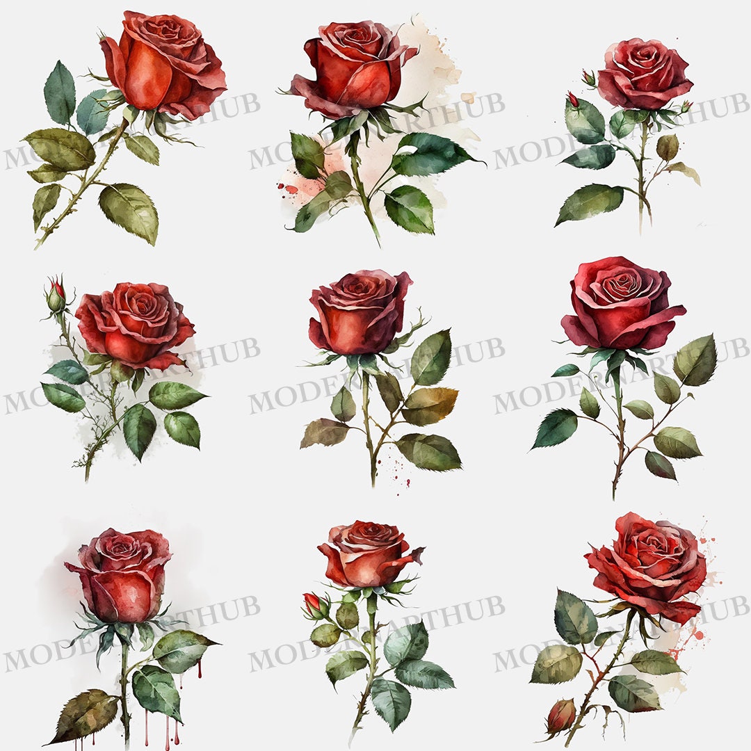 BUNDLE Watercolor Red Rose Clipart Single Red Roses, Flowers, Love ...