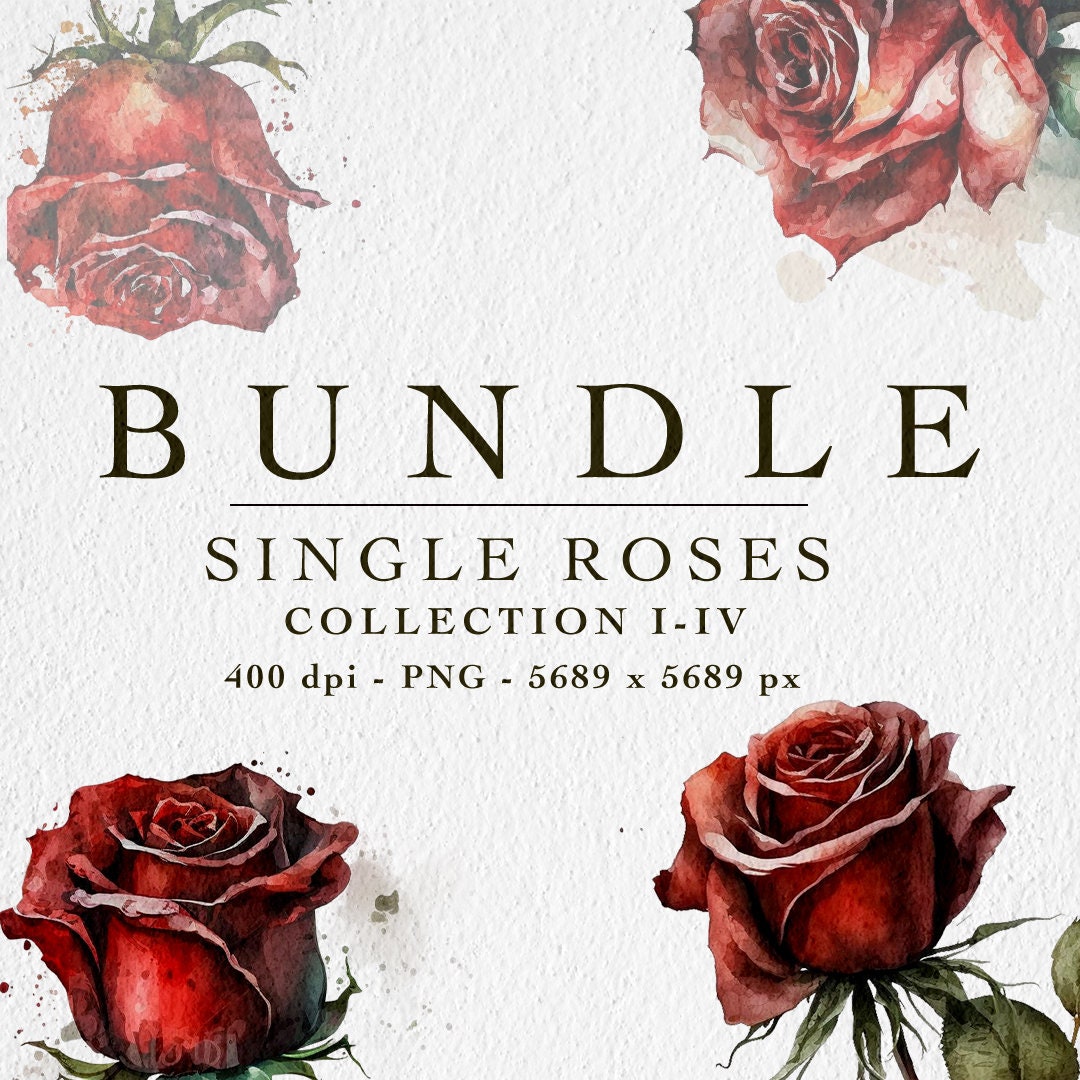 BUNDLE Watercolor Red Rose Clipart Single Red Roses, Flowers, Love ...