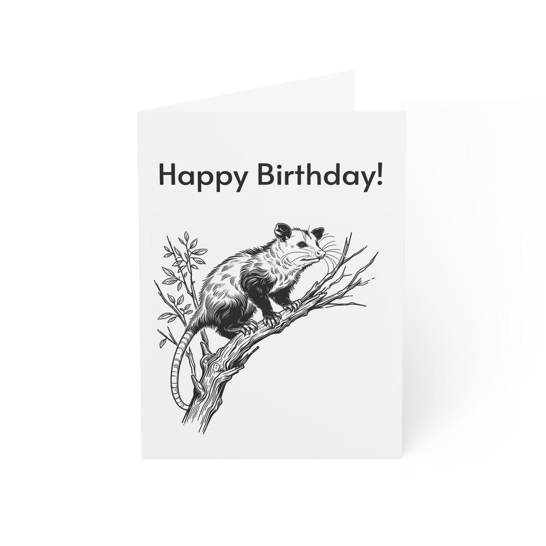 Greeting Cards, Funny Happy Birthday Random, Pack of 10, Birthday Cards ...