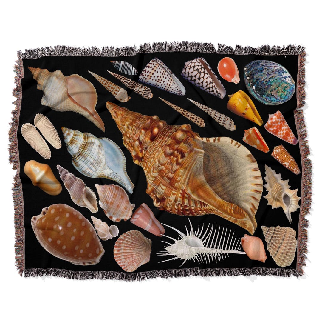 Cozy Woven Seashell Blanket, Sea Shell Blanket, Beach Lover Gift, Shell ...